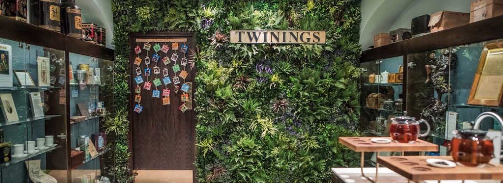 Boosting Retail Ambiance with Eye-Catching Green Wall Displays